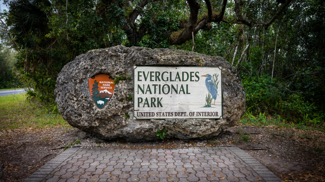 Fun Facts About Everglades National Park, Florida - Years Of Traveling