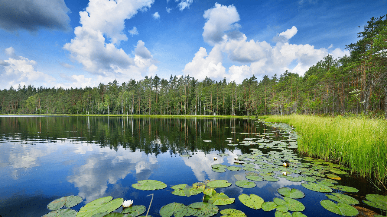 Why Does Finland Have Thousands of Lakes? The Story of a Water Wonderland