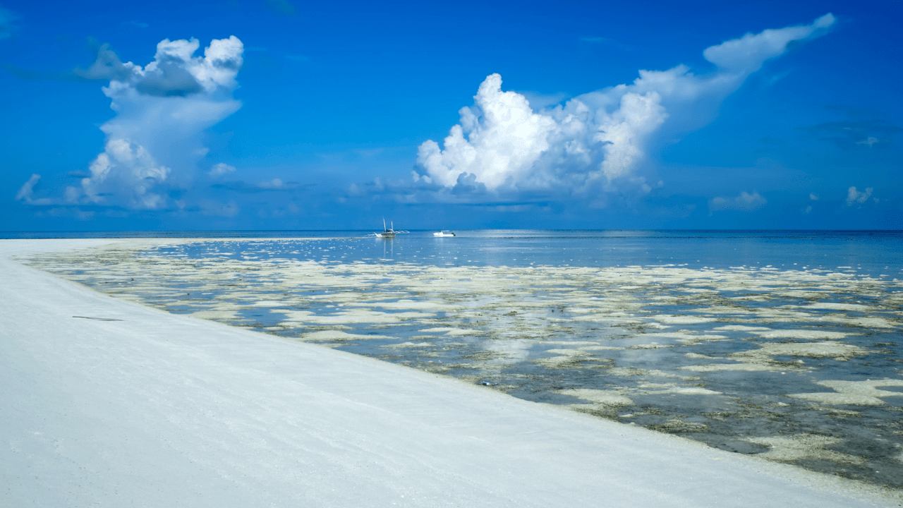 10 Best Island Reefs Around the World