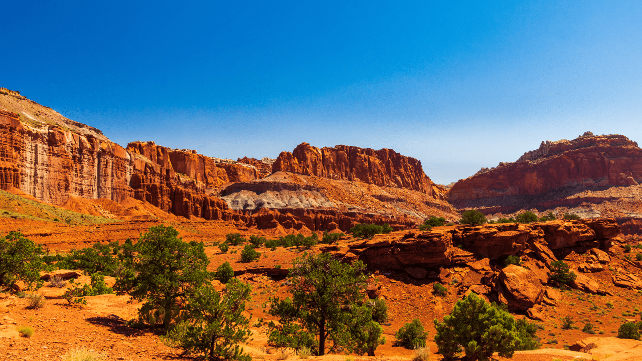 Utah's Top 5 National Parks and Wildlife - Mustangs and More!