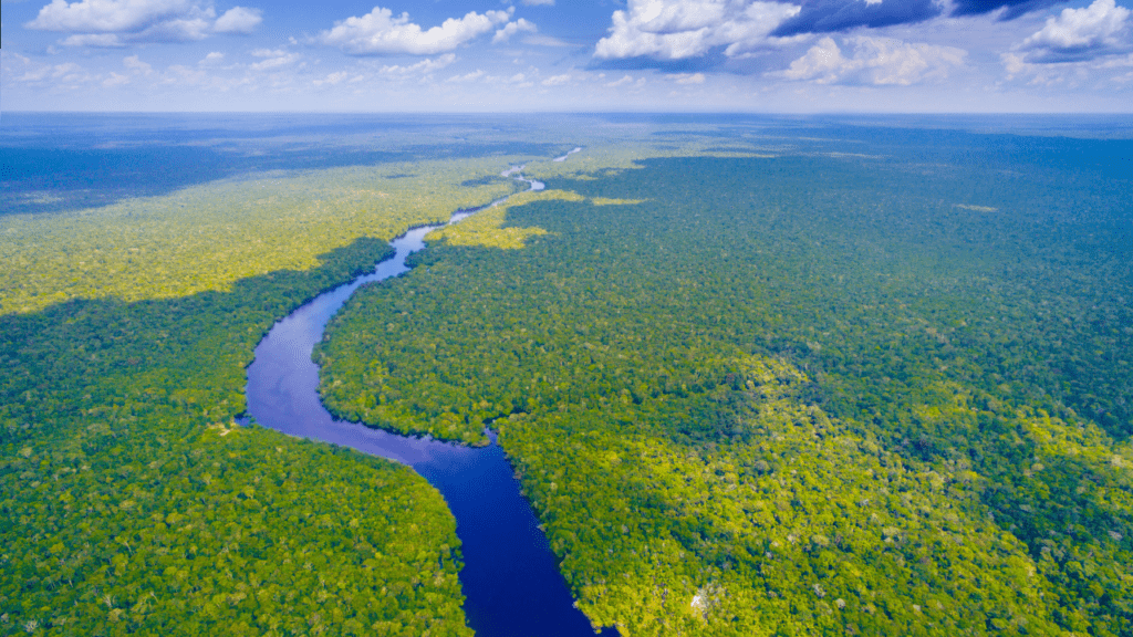 What Makes the Amazon Rainforest the Lungs of the Earth? The Science ...
