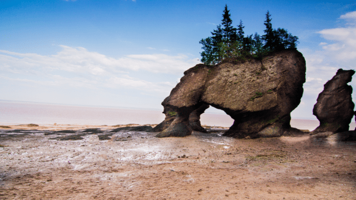 What Causes the World’s Largest Tidal Waves? Uncovering the Bay of ...