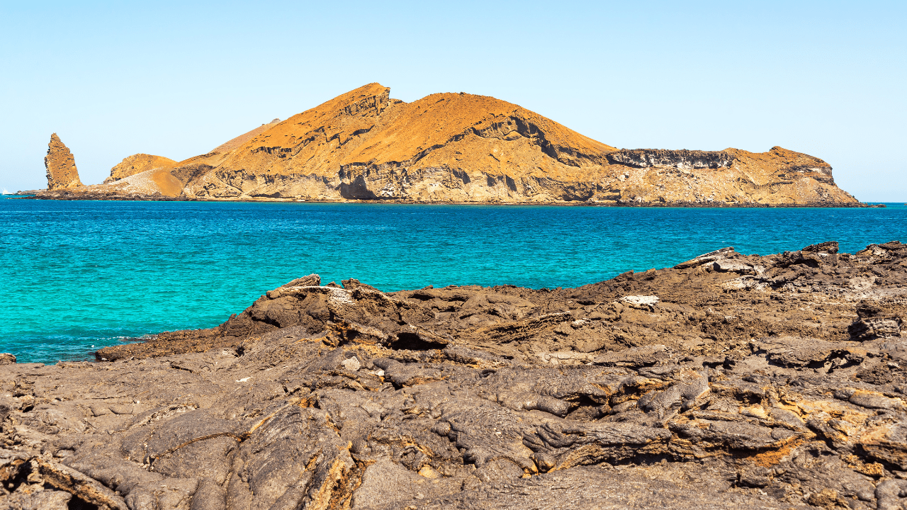 How Are the Galápagos Islands So Unique?