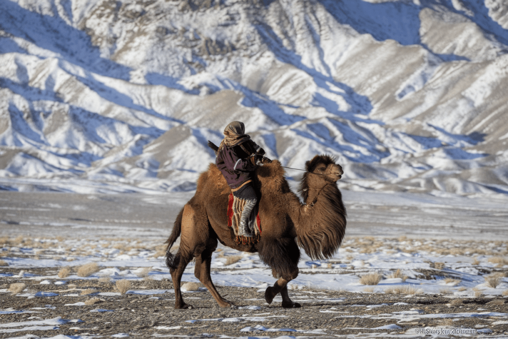 There’s a Desert That Freezes: The Strange Climate of the Gobi Desert