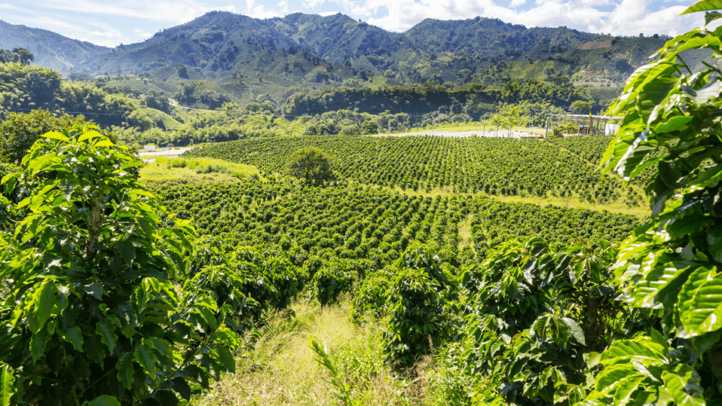 10 Things to Do in Puerto Rico