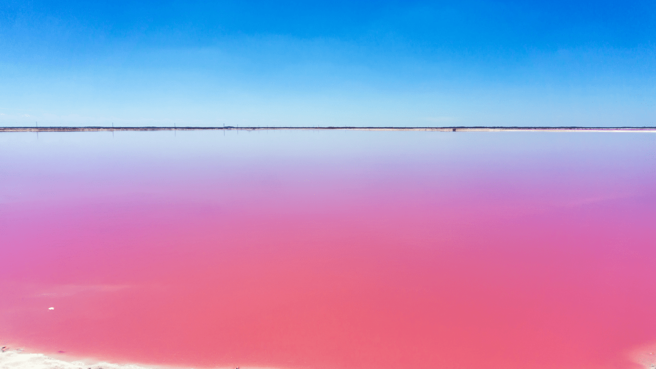 Why Do Some Lakes Turn Bright Pink? The Science Behind Nature’s Rosy Waters