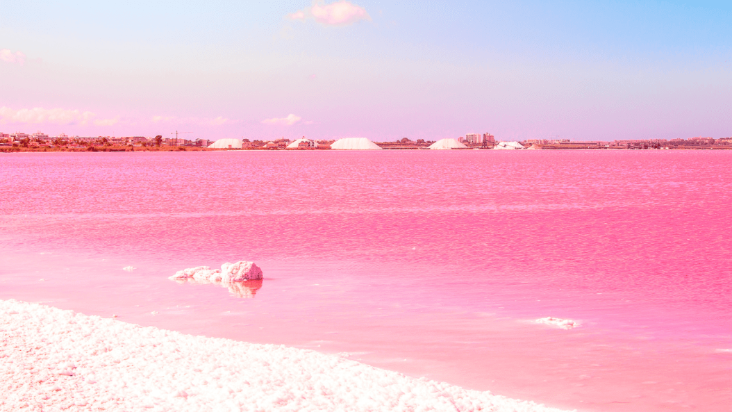 Why Do Some Lakes Turn Bright Pink? The Science Behind Nature’s Rosy Waters