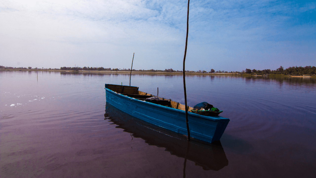 Why Do Some Lakes Turn Bright Pink? The Science Behind Nature’s Rosy Waters