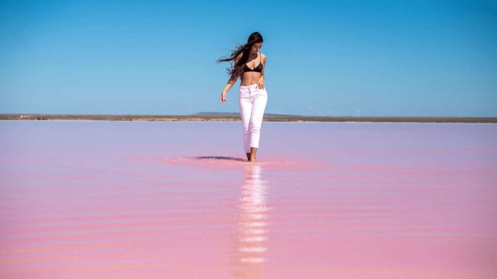 Why Do Some Lakes Turn Bright Pink? The Science Behind Nature’s Rosy Waters