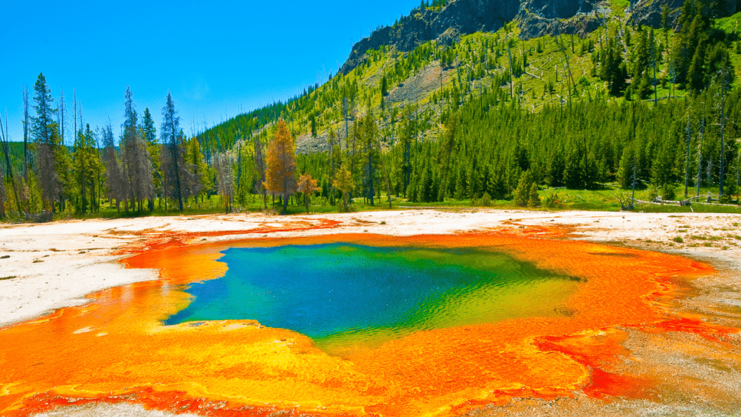 The 20 Most Dangerous National Parks in The US