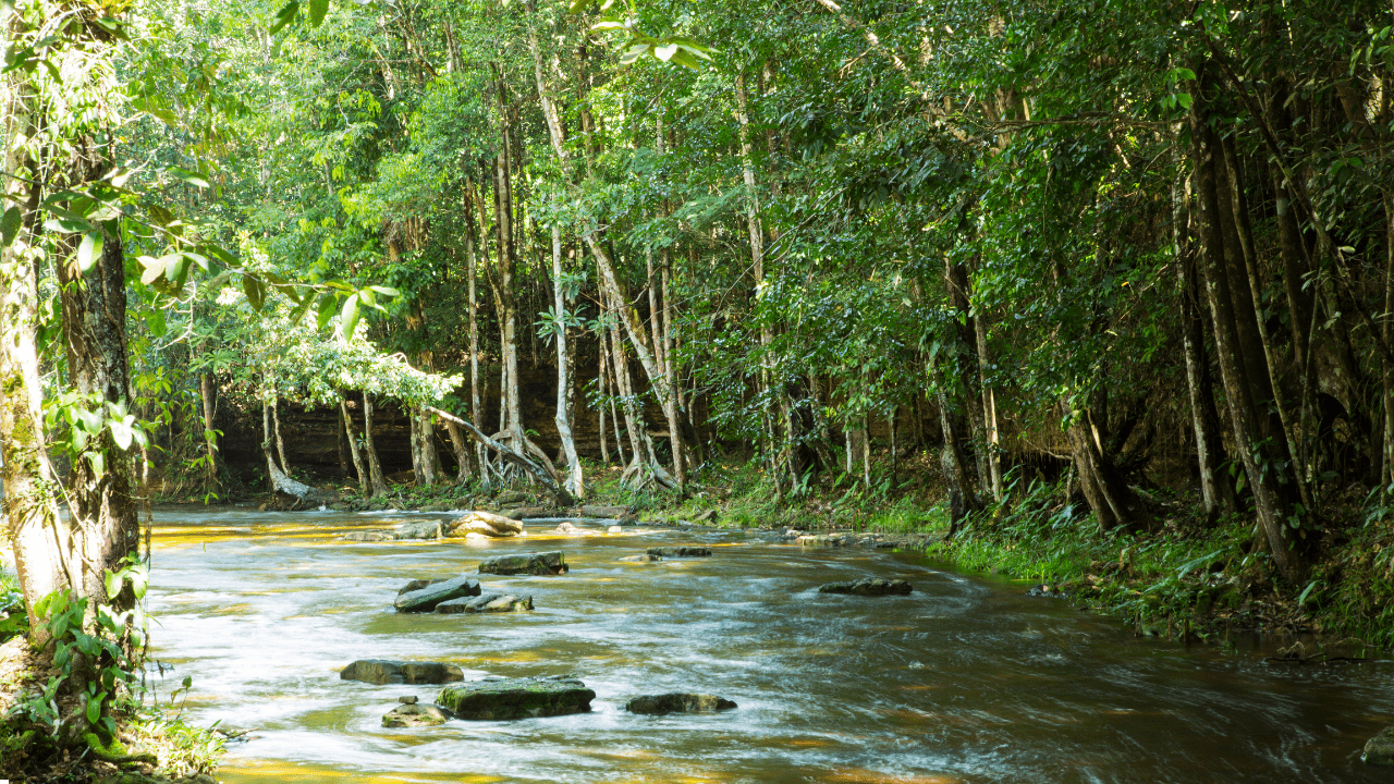 Does the Amazon River Flow Backward? The Remarkable Reversal of Earth’s ...