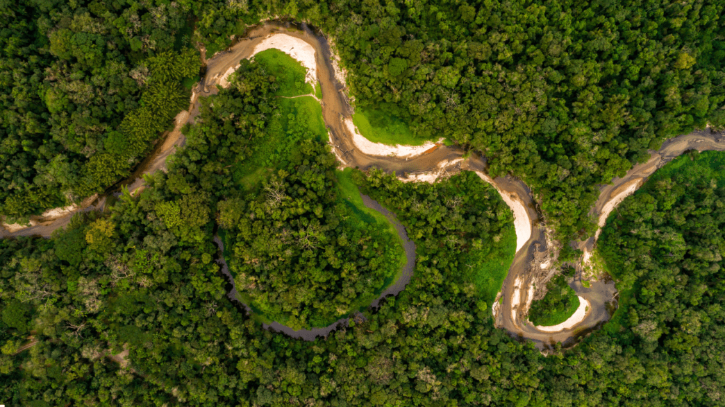 Does the Amazon River Flow Backward? The Remarkable Reversal of Earth’s ...