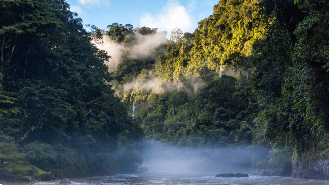 Does the Amazon River Flow Backward? The Remarkable Reversal of Earth’s ...