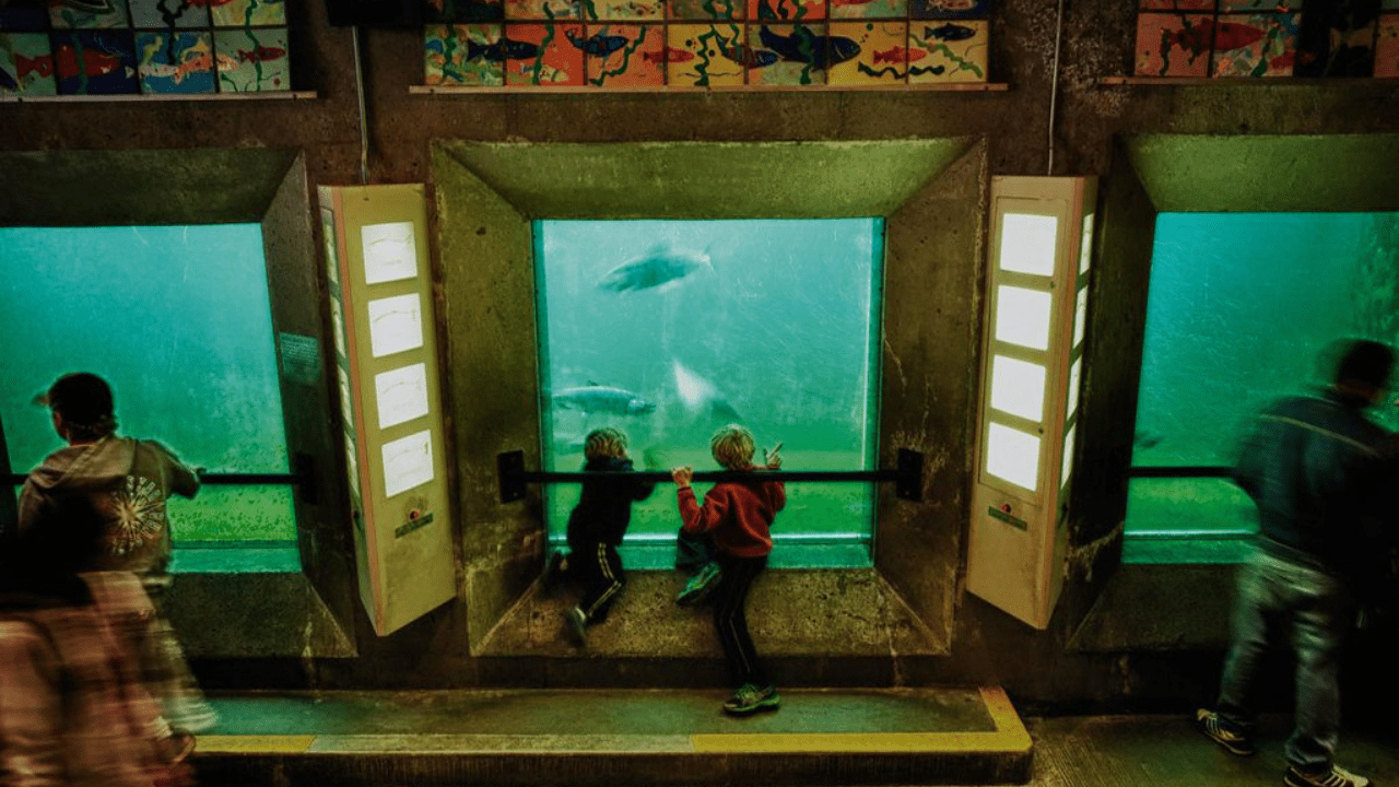 15 Things to Do in Seattle Washington