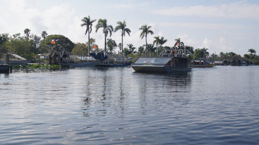10 Things to Do in Miami