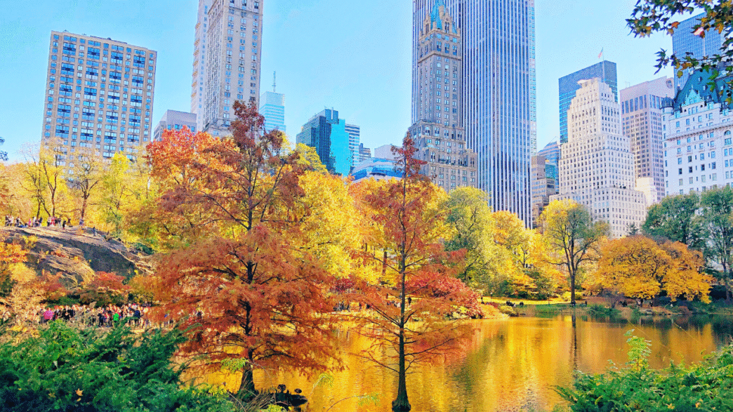 10 Best U.S. Cities to See Fall Foliage