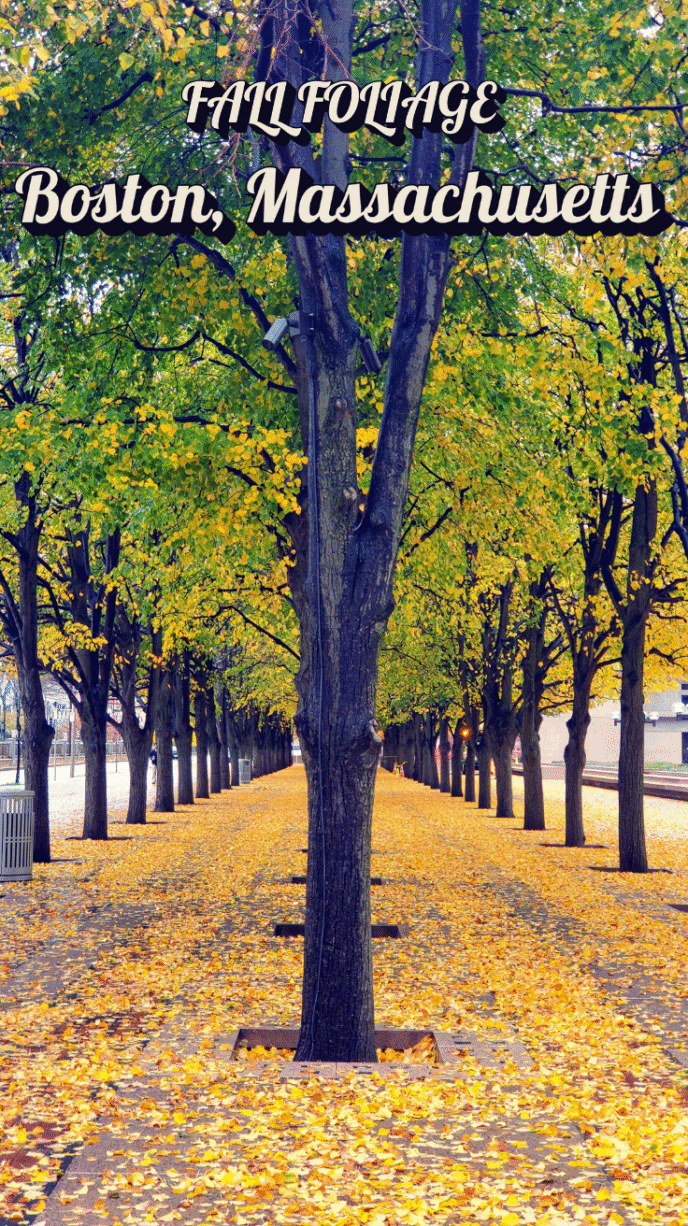 10 Best U.S. Cities to See Fall Foliage