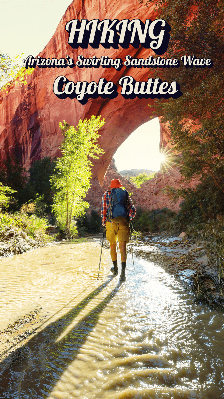 Arizona’s Swirling Sandstone Wave: Inside the Stunning Coyote Buttes