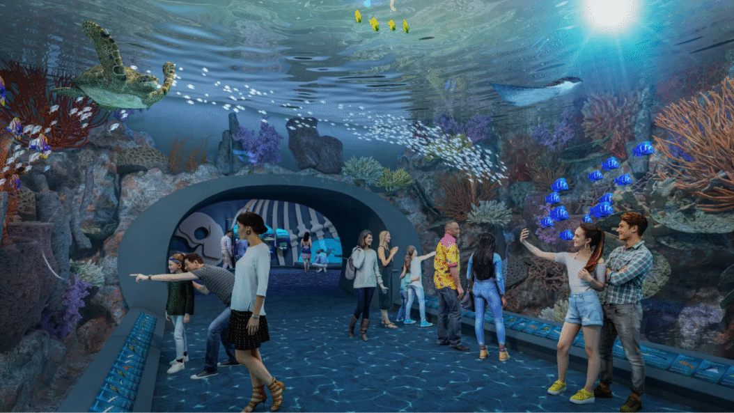 10 Top Aquariums in the United States for Families
